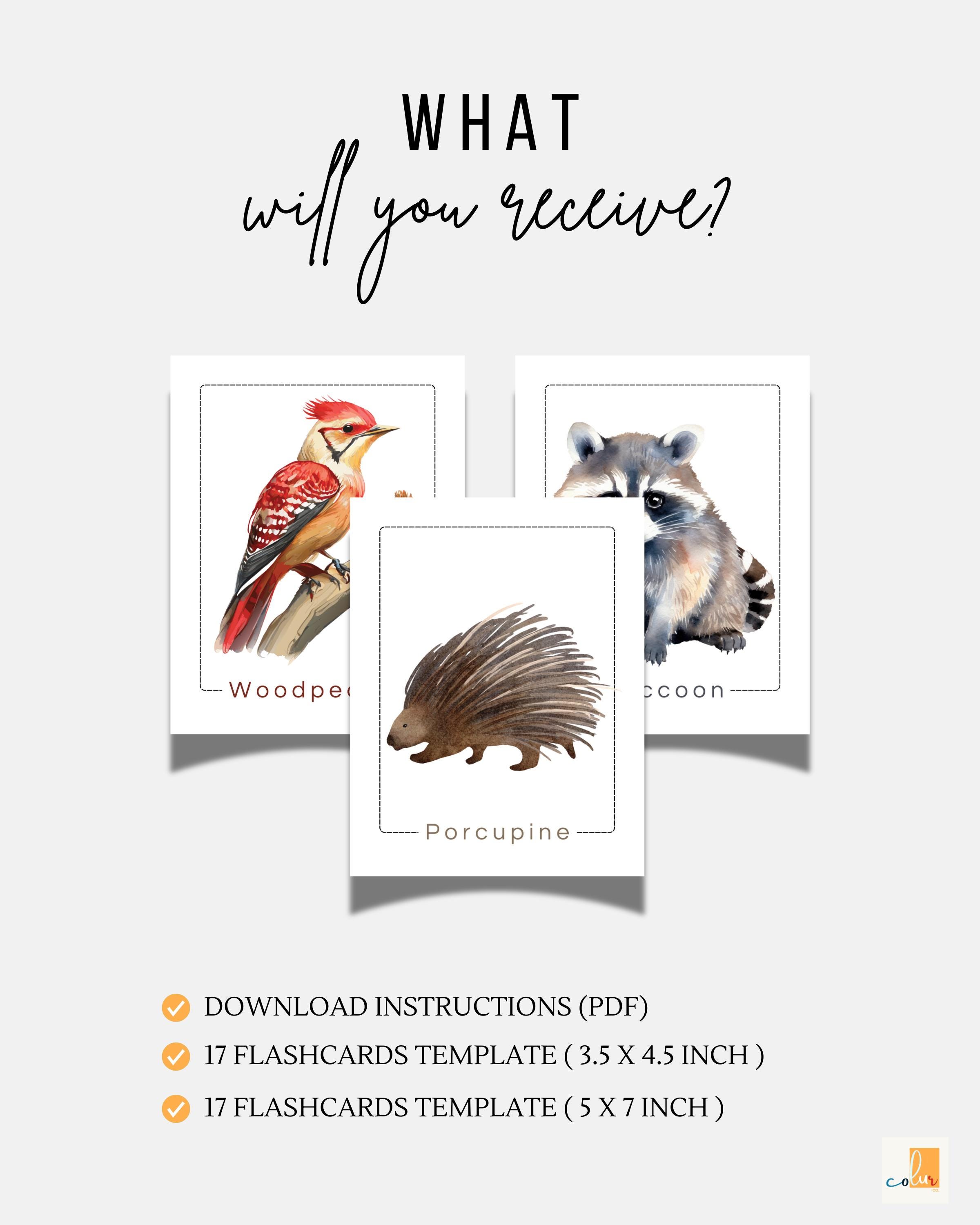 Printable Woodland Animal Flashcards for Kids | Montessori Forest ...