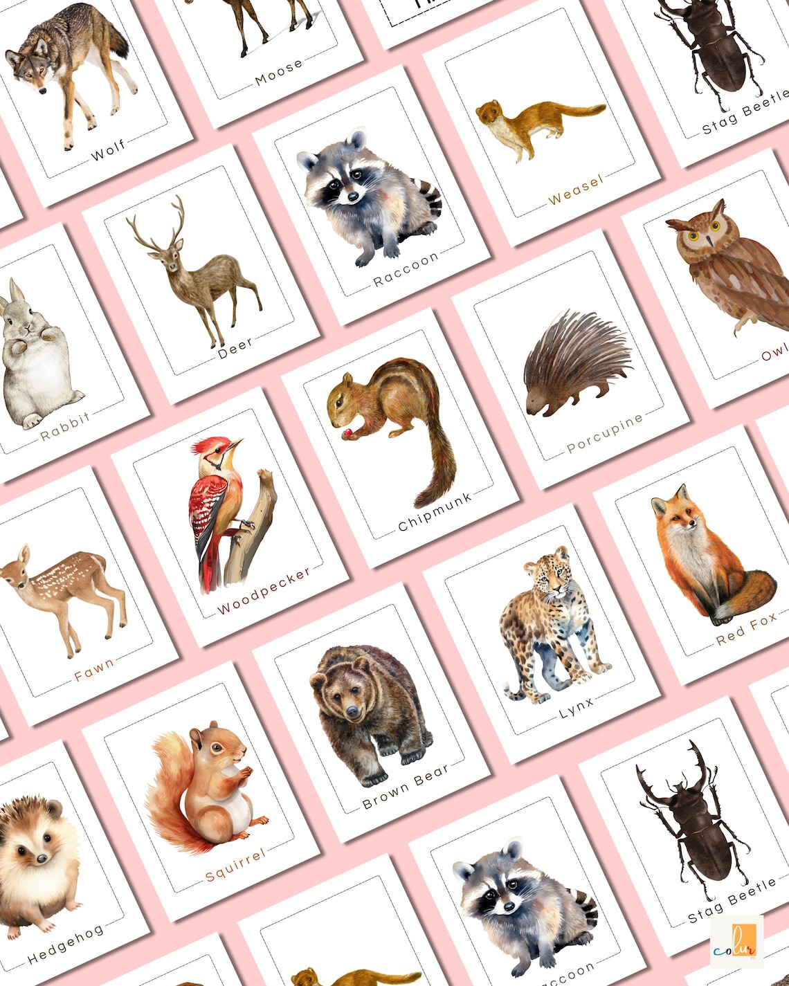 Printable Woodland Animal Flashcards for Kids | Montessori Forest ...