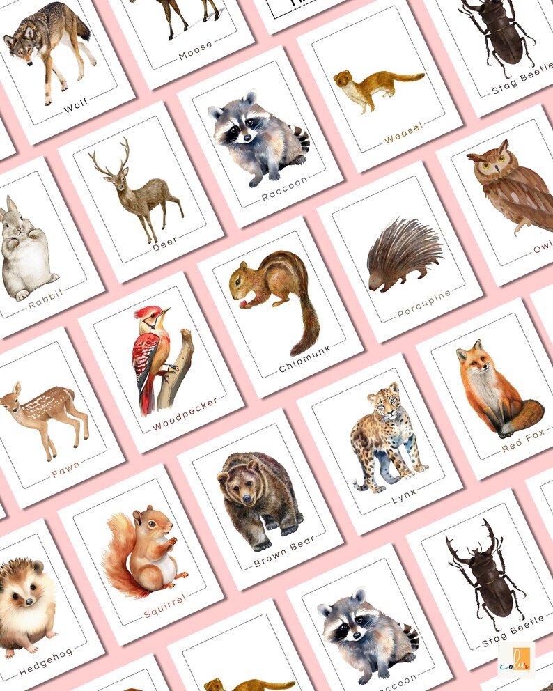 Printable Woodland Animal Flashcards for Kids | Montessori Forest ...