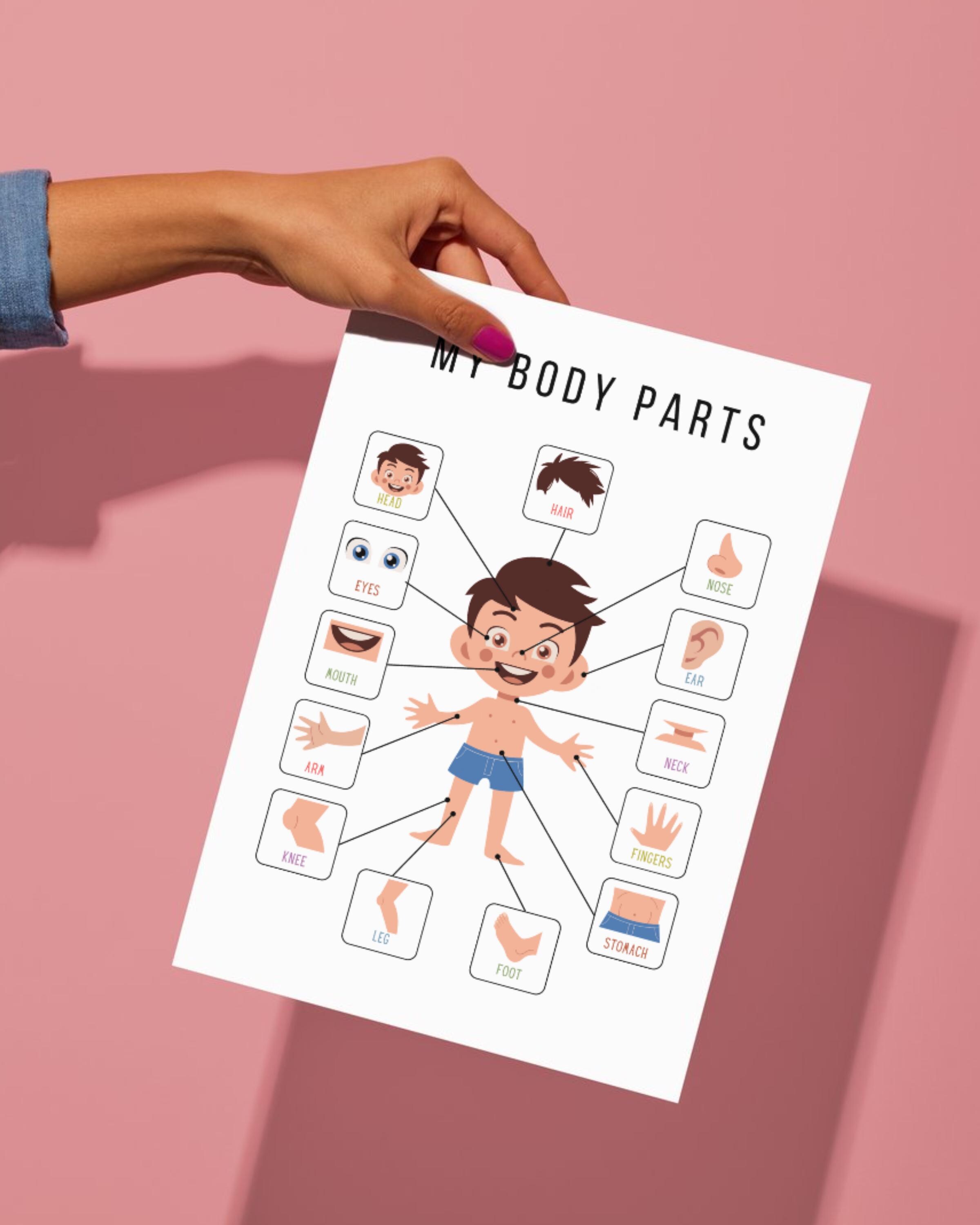 My Body Parts Poster for Kids – Printable Human Body Chart for Toddlers ...