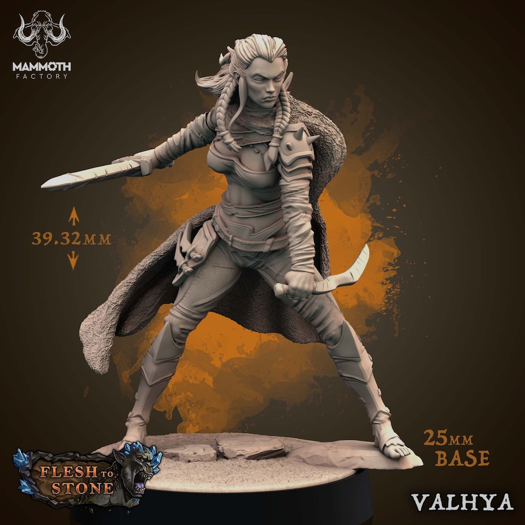 Valhya female Rogue, Bladesinger, Dual-wielder, Fighter, Heroic 32mm ...