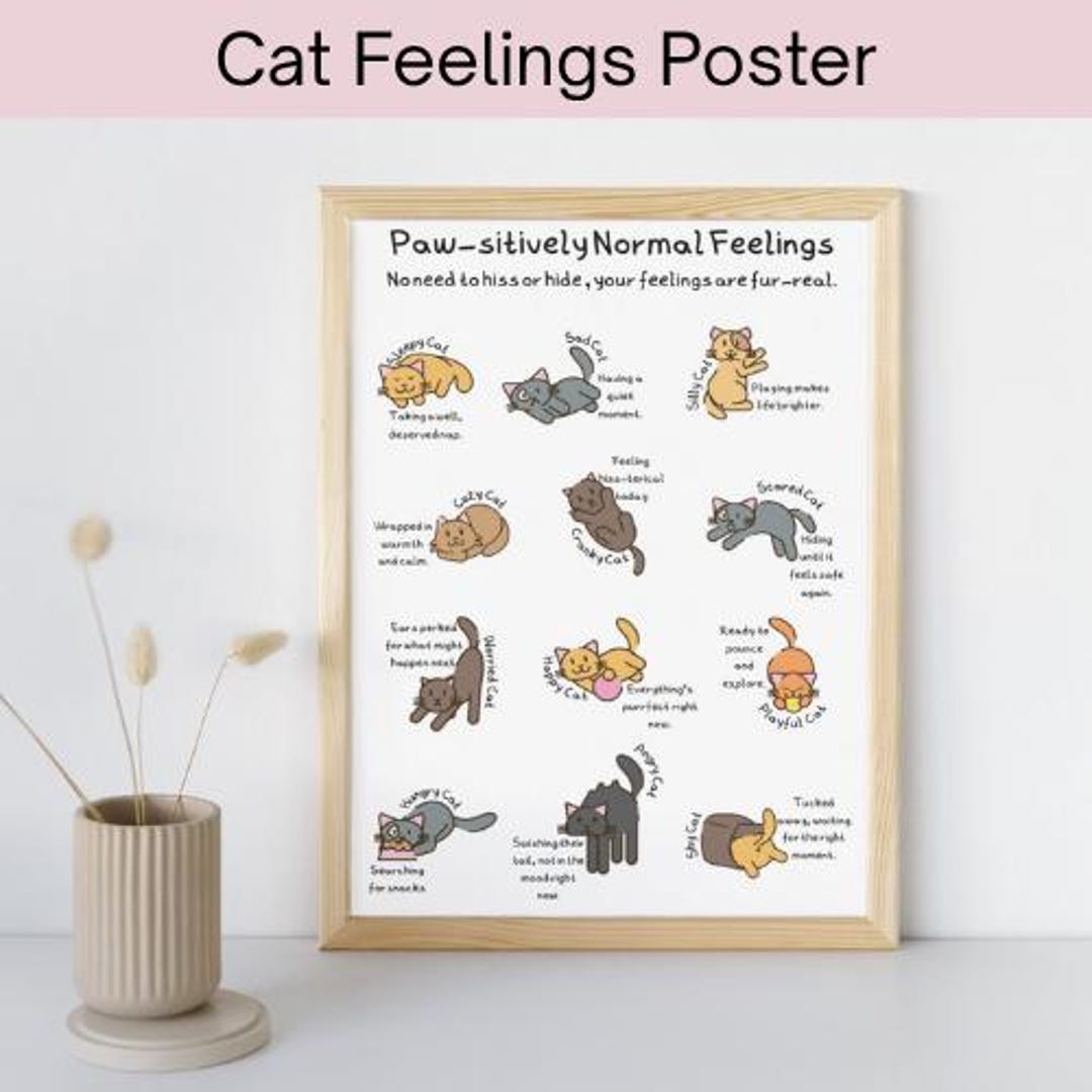 Cat Feelings Poster| Emotional Awareness Classroom Decor | Social ...