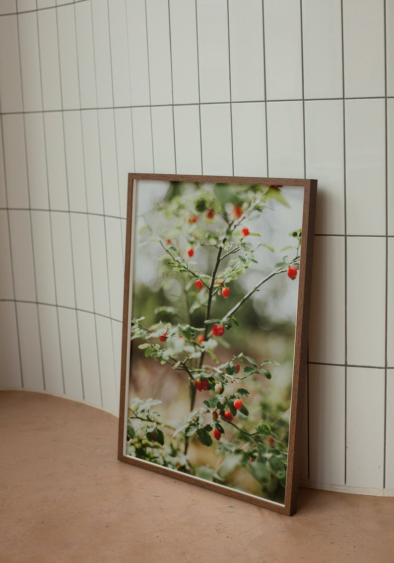 Forest Foliage Poster DIGITAL DOWNLOAD PRINT Canada Travel - Etsy