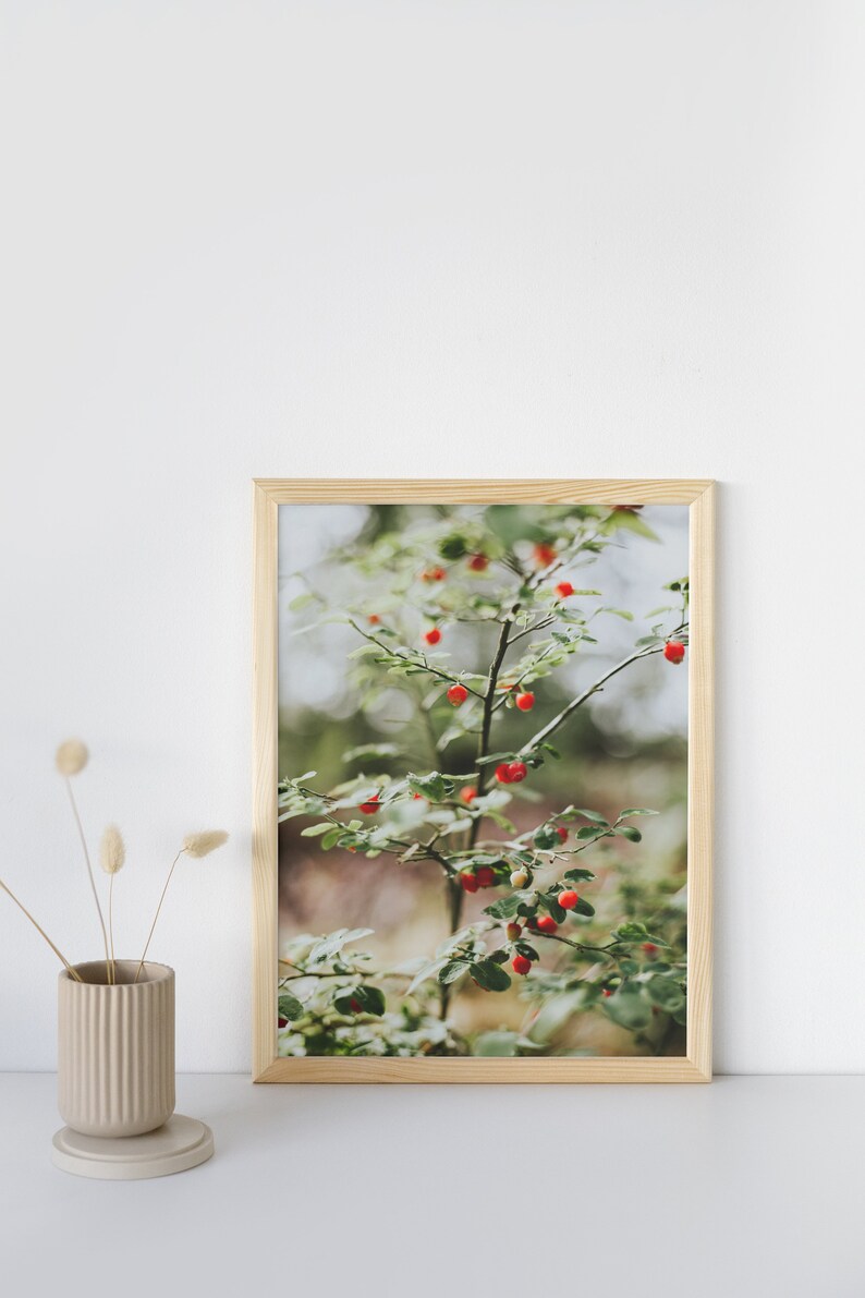 Forest Foliage Poster | DIGITAL DOWNLOAD PRINT | Canada Travel Print ...