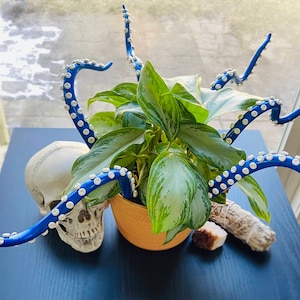 Tentacle Plant Art, Blue Octopus Tentacle Stakes, Plant Decor, Plant ...