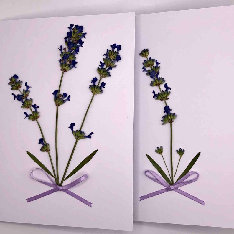Pressed Flower Lavender Cards - Etsy