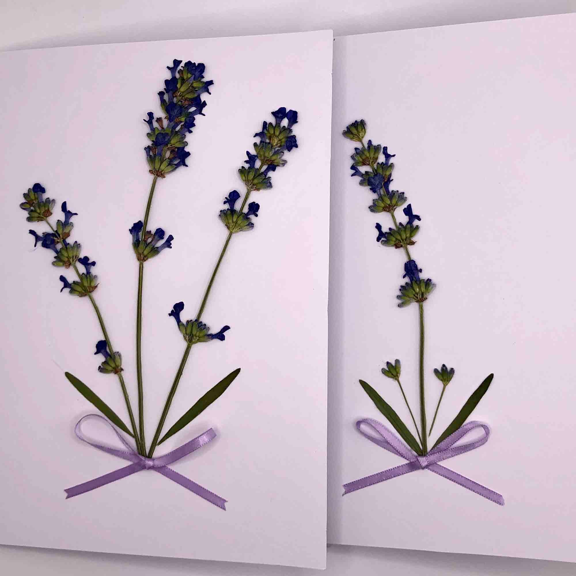 Pressed Flower Lavender Cards - Etsy