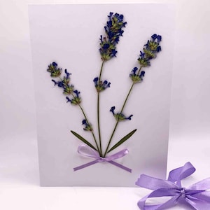 Pressed Flower Lavender Cards - Etsy