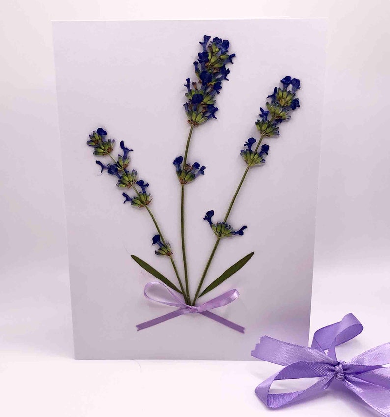 Pressed Flower Lavender Cards - Etsy