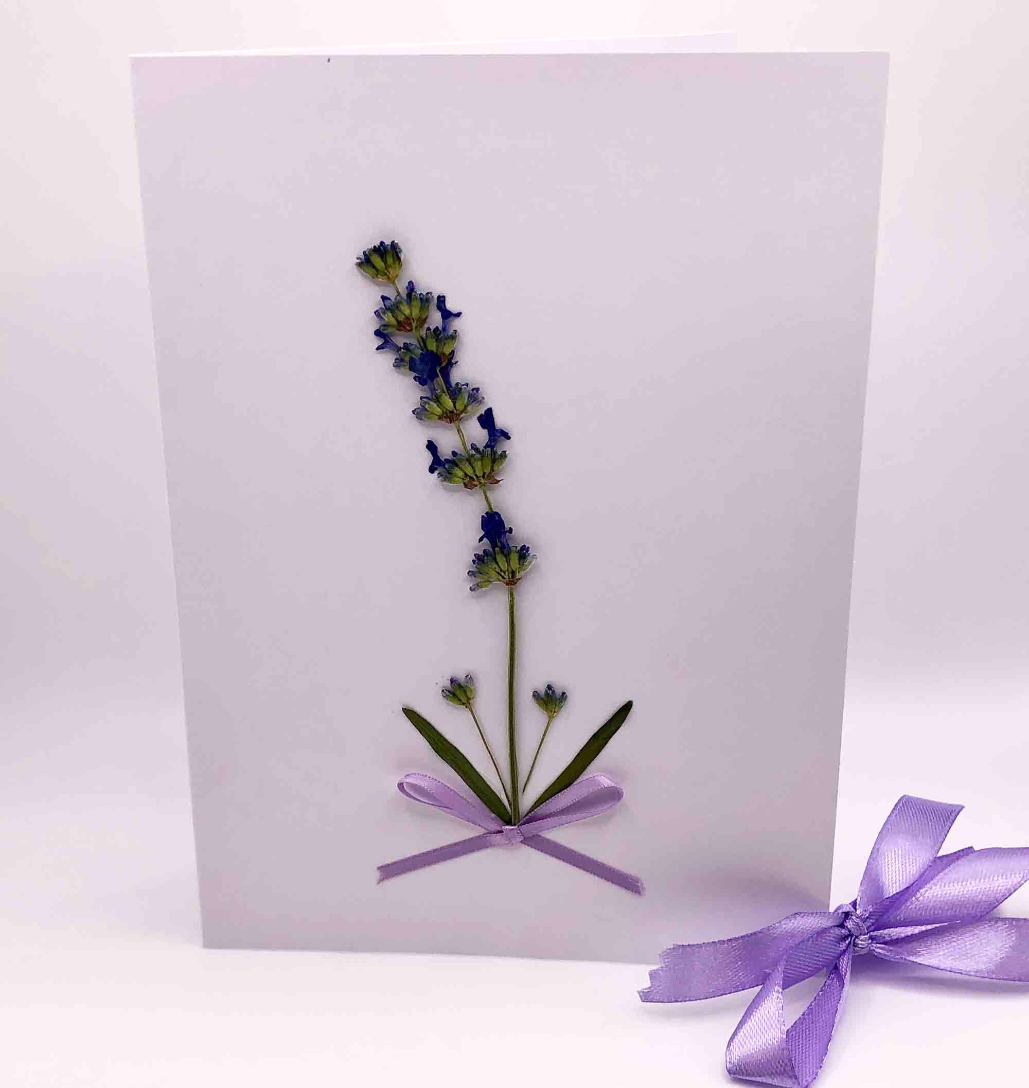 Pressed Flower Lavender Cards - Etsy