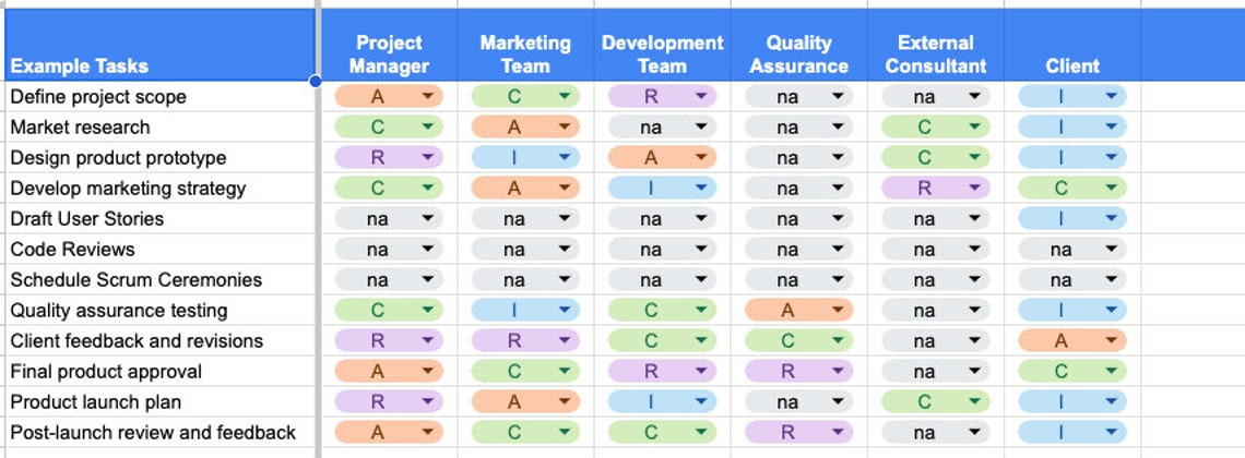 Project RACI Charts 6 Versions Roles and Responsibilities Project Roles ...
