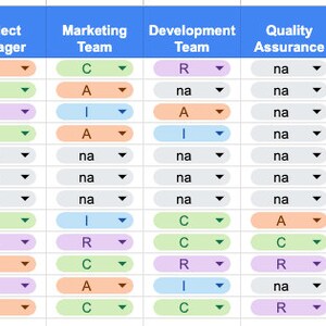 Project RACI Charts 6 Versions Roles and Responsibilities Project Roles ...