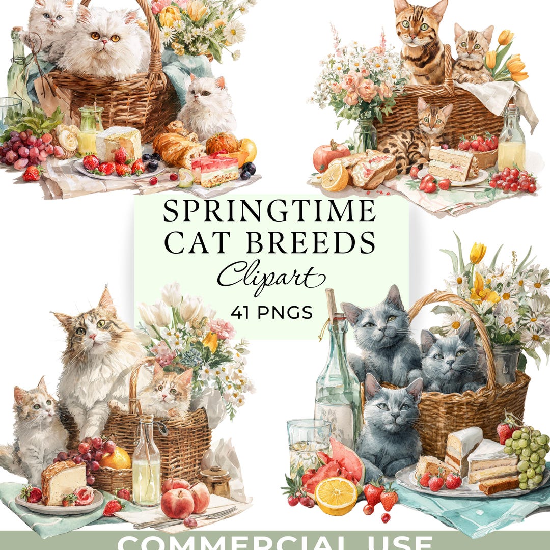Cat Breeds Floral Clipart Bundle, Watercolor Spring PNG of Felines, 41 ...
