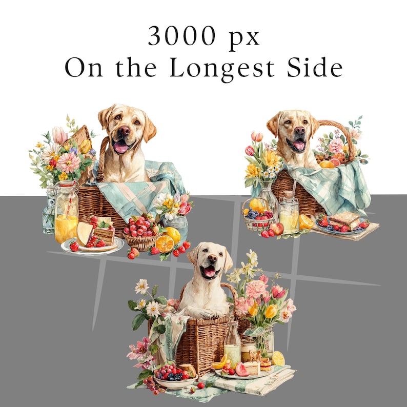 Labrador Retriever With Flowers Clipart, Floral Dog Breed Watercolor ...