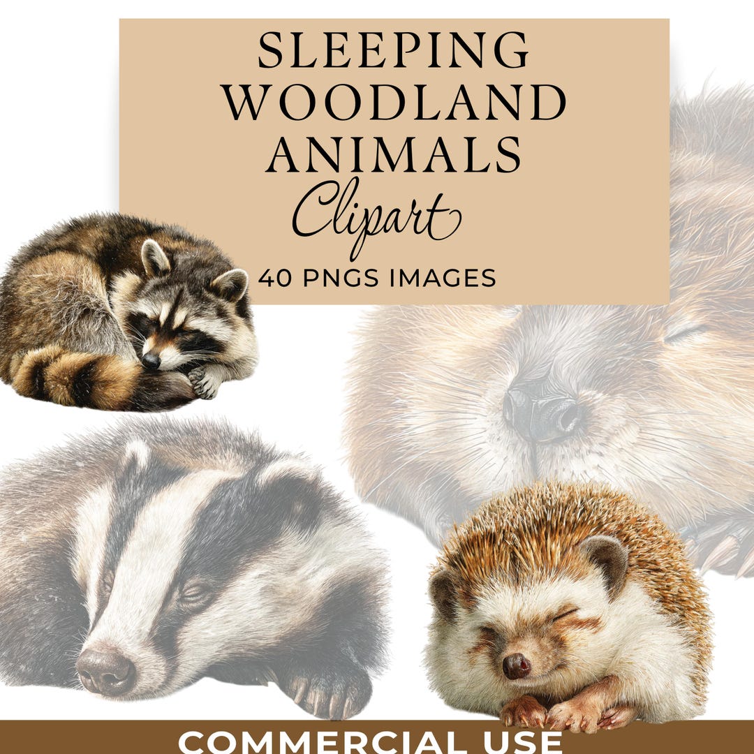 Realistic Sleeping Woodland Animals Clipart, Watercolor Nature Pngs, 35 ...