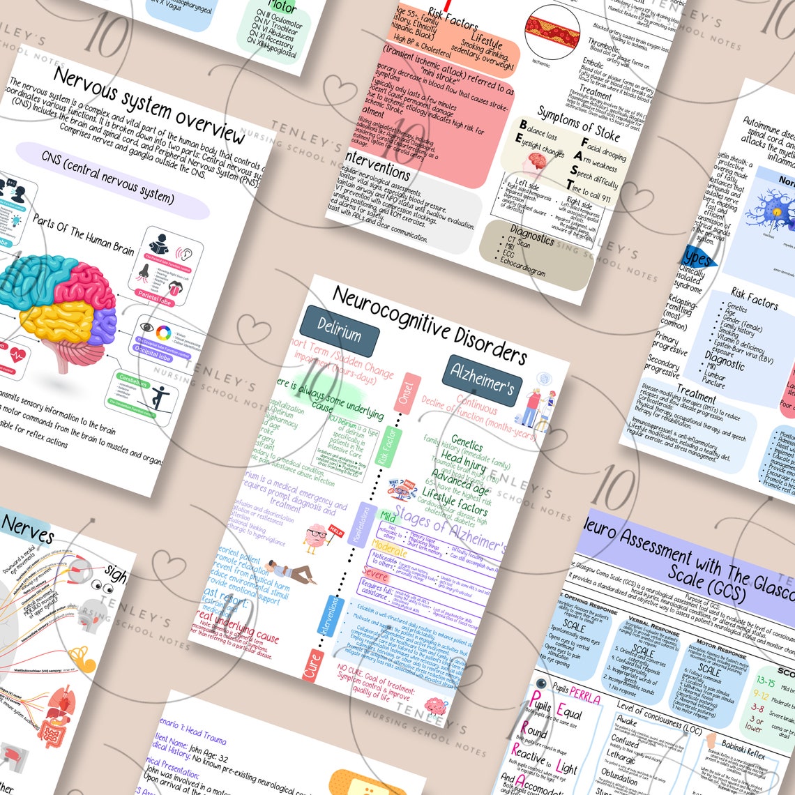 Neuro Bundle | Nursing School Neuro Study Guide | Cheat Cheets | 12 ...