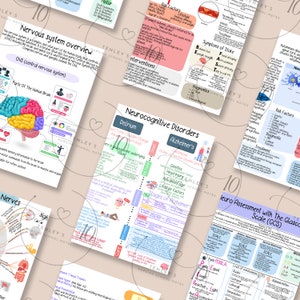 Neuro Bundle | Nursing School Neuro Study Guide | Cheat Cheets | 12 ...
