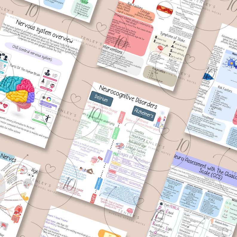 Neuro Bundle | Nursing School Neuro Study Guide | Cheat Cheets | 12 ...