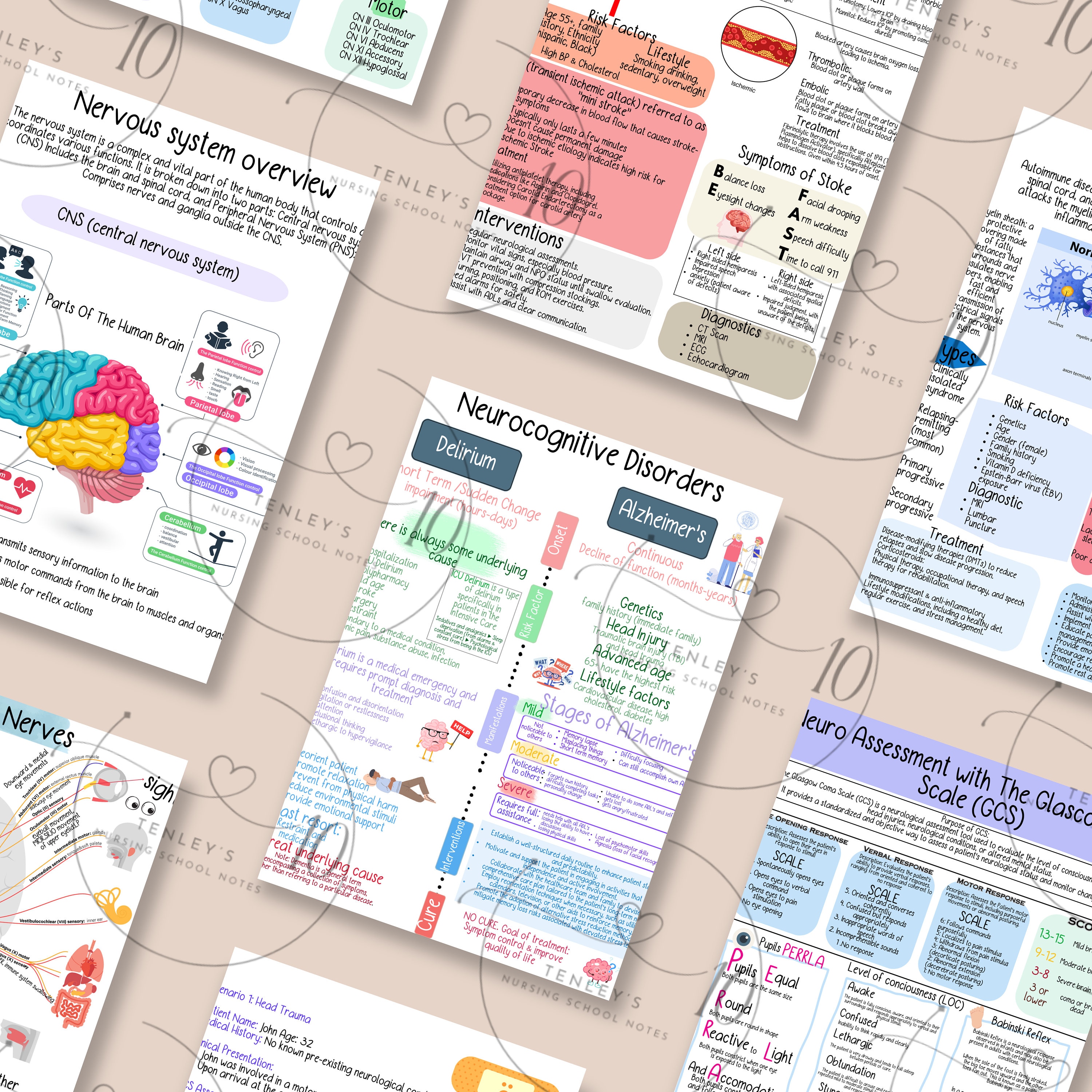 Neuro Bundle | Nursing School Neuro Study Guide | Cheat Cheets | 12 ...