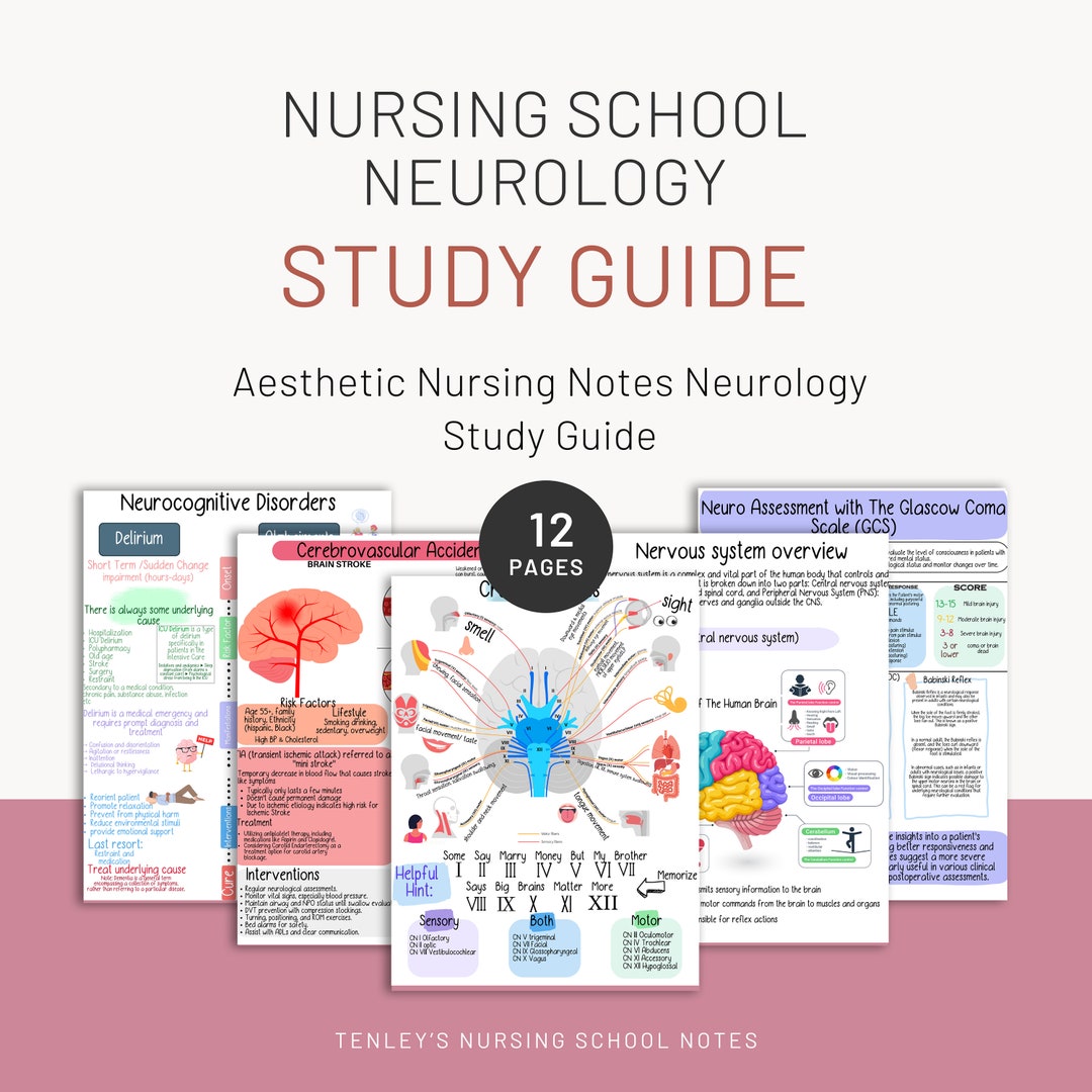 Neuro Bundle | Nursing School Neuro Study Guide | Cheat Cheets | 12 ...