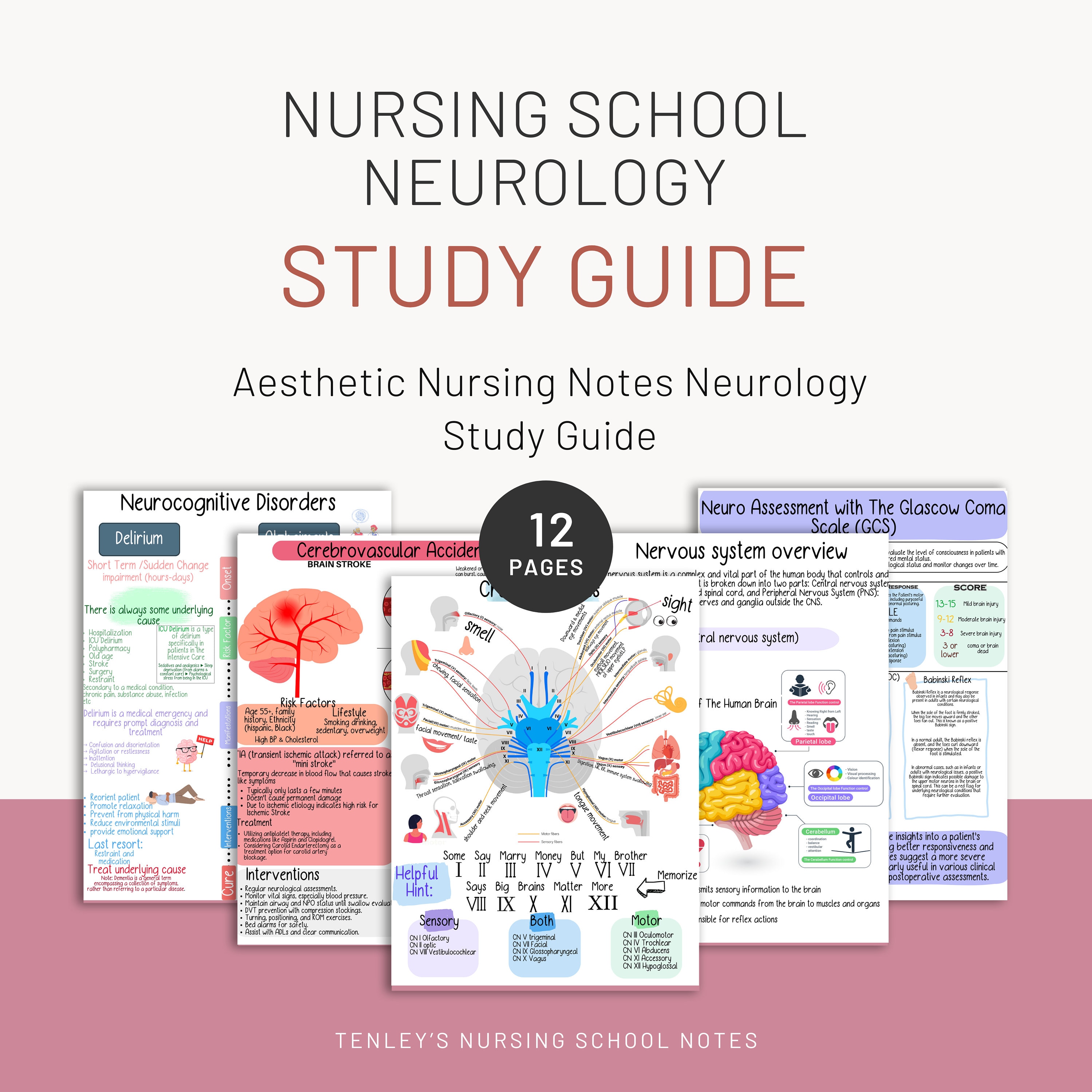 Neuro Bundle | Nursing School Neuro Study Guide | Cheat Cheets | 12 ...