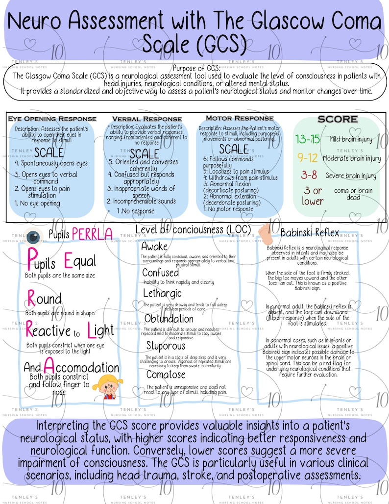 Neuro Assessment With Glascow Coma Scale | Nursing School Study Guide ...