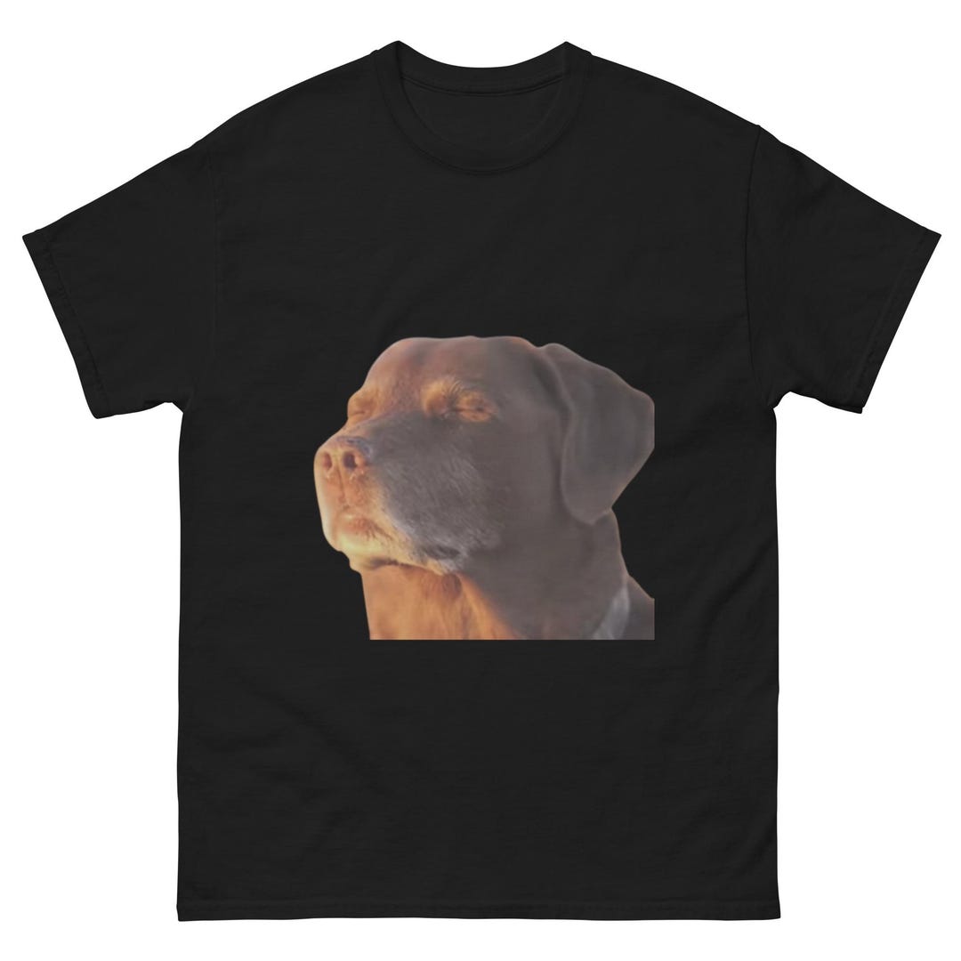 Dog Meme Shirt - Etsy