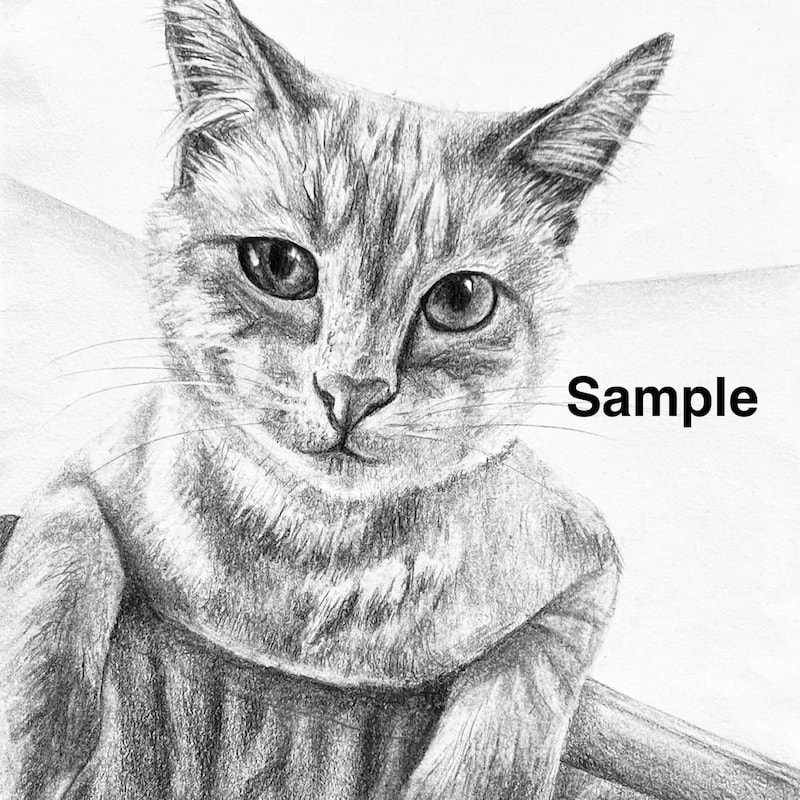Portrait in Graphite - Etsy