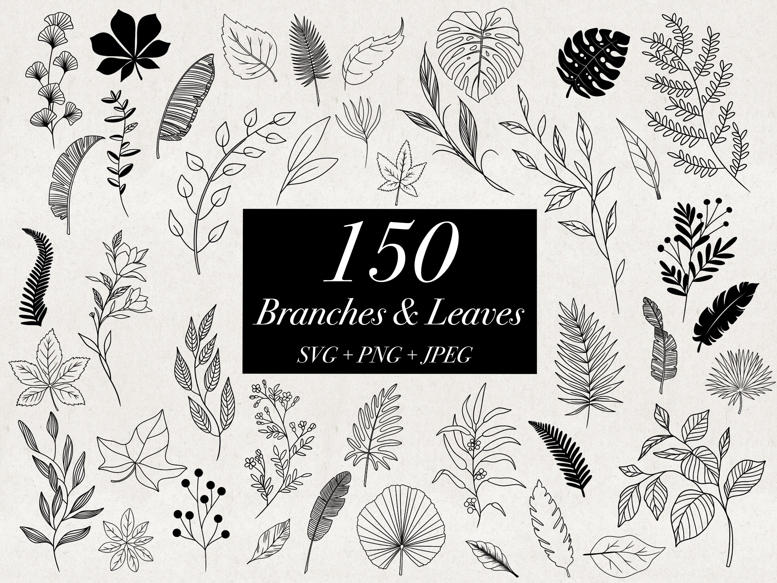 150 Branches & Leaves Bundle SVG PNG JPEG, Delicate Plant Line ...