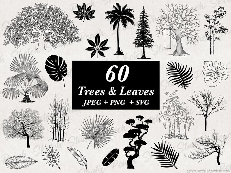 60 Trees & Leaves Designs, PNG JPEG Image Files, Hand Drawn Line ...