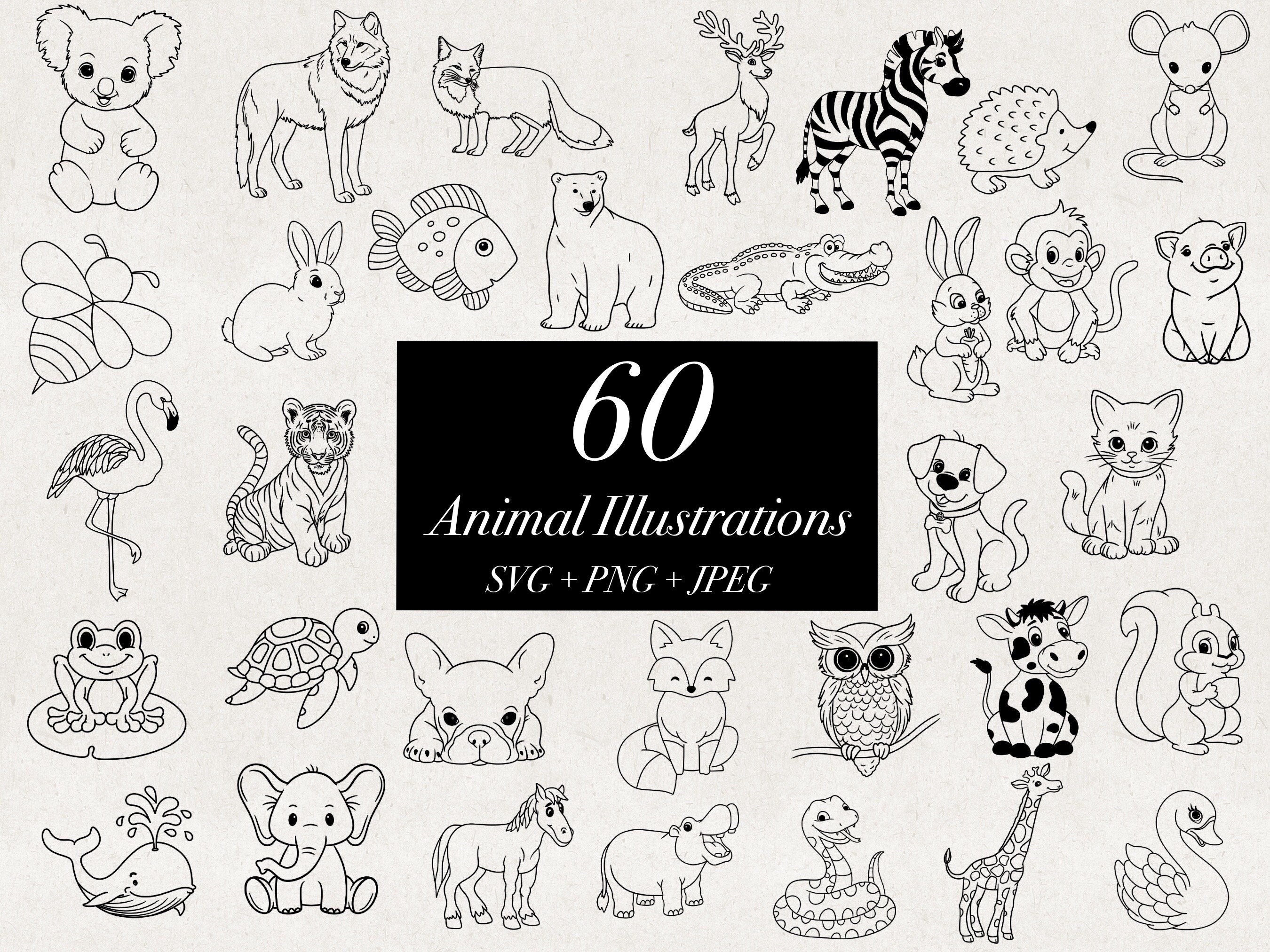 60 Animal Illustrations SVG, PNG & JPEG Clip Art Bundle, Fun Animal ...
