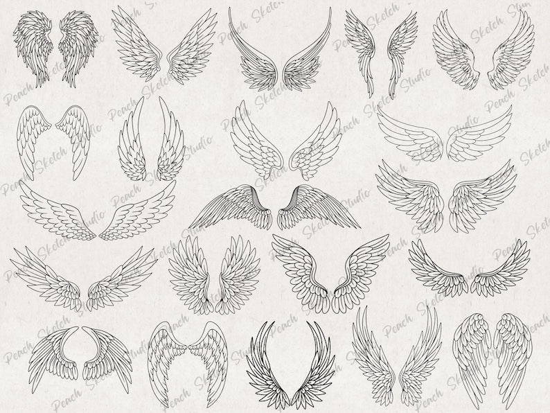 50 diseños de alas de ángel SVG PNG JPEG ilustraciones, paquete de ...