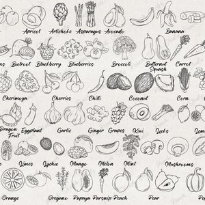 100 Fruit & Vegetable SVG PNG JPEG Bundle Illustrations, Tropical ...