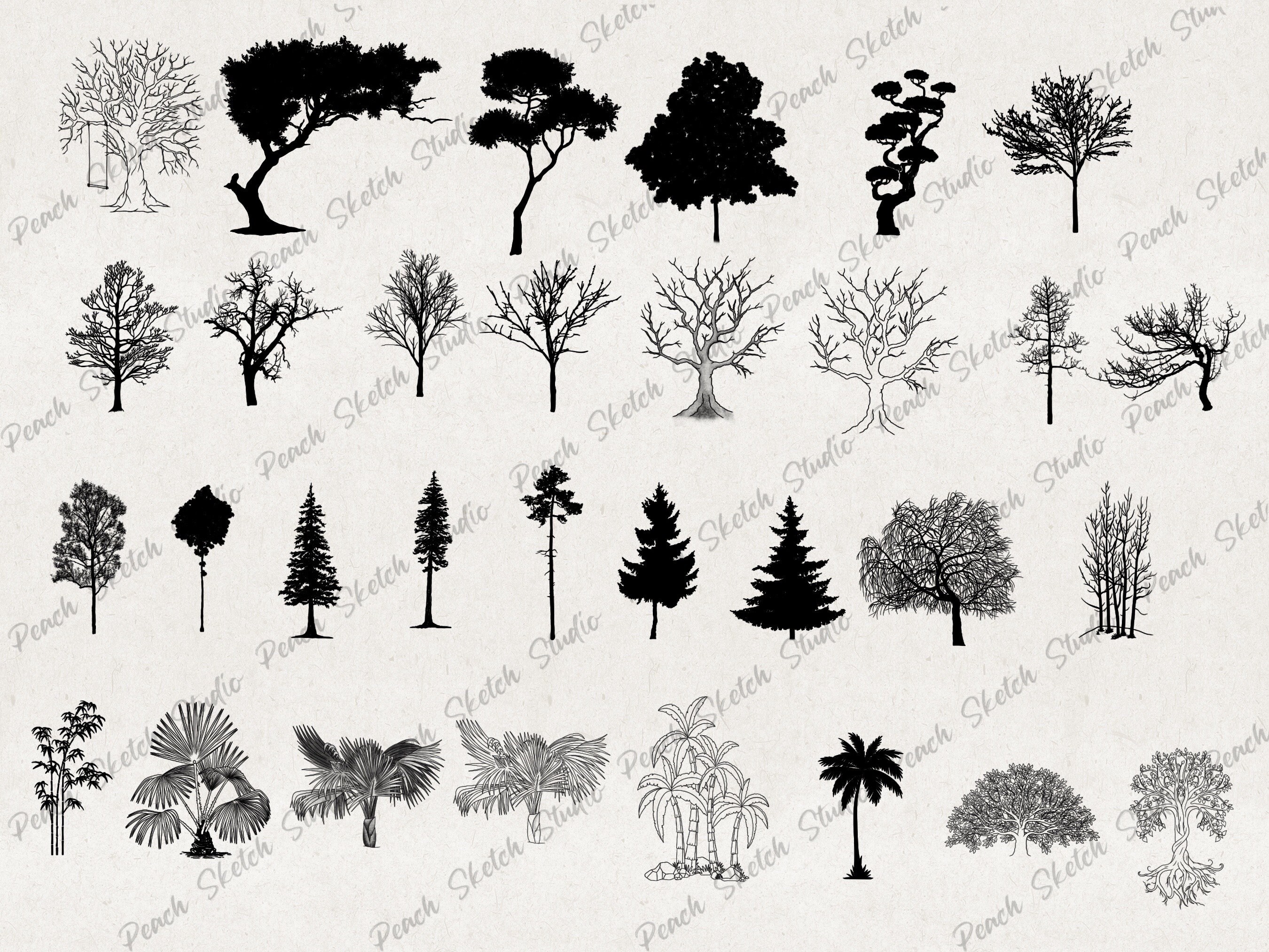60 Trees & Leaves Designs, PNG JPEG Image Files, Hand Drawn Line ...