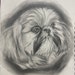 Custom Graphite Portraits - Etsy