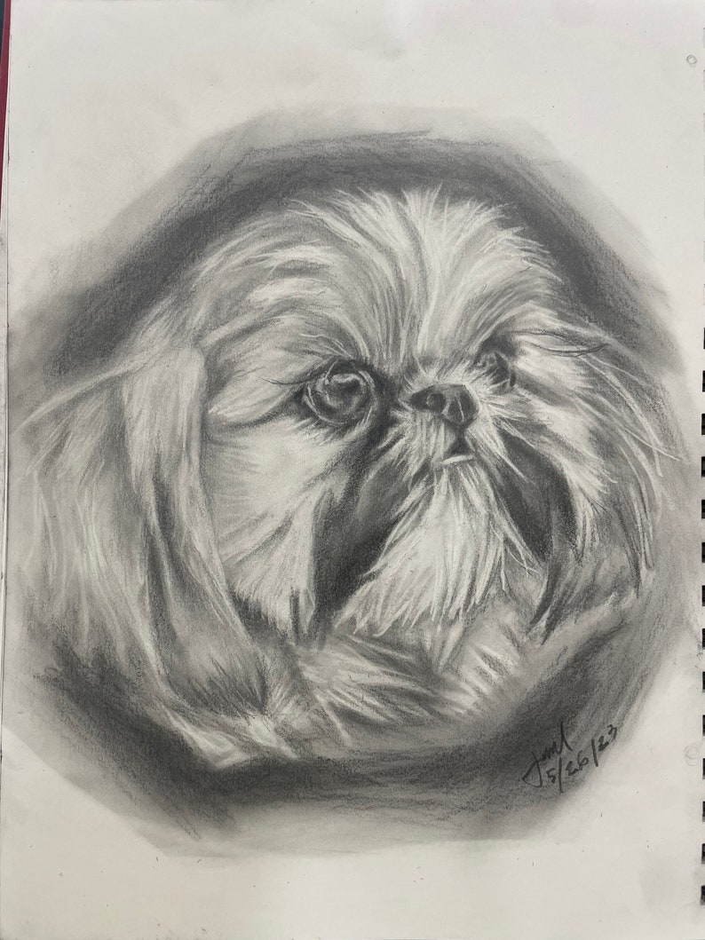 Custom Graphite Portraits - Etsy