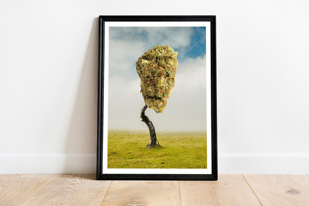Sad Tree Poster Modern Art Art Poster Marijuana Print - Etsy