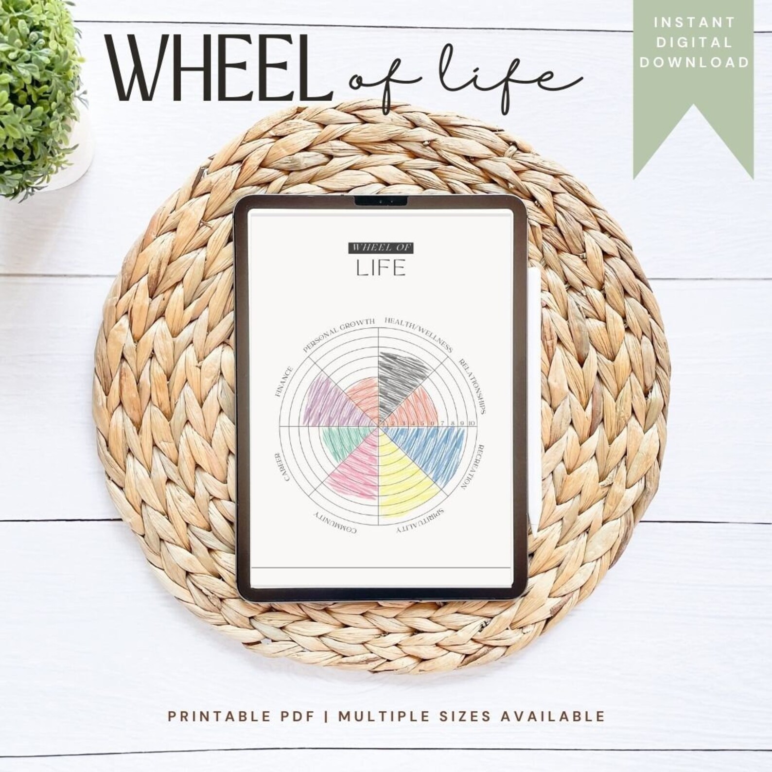 Wheel of Life Tracker, Wheel of Life Workbook Worksheet, Smart Goal ...