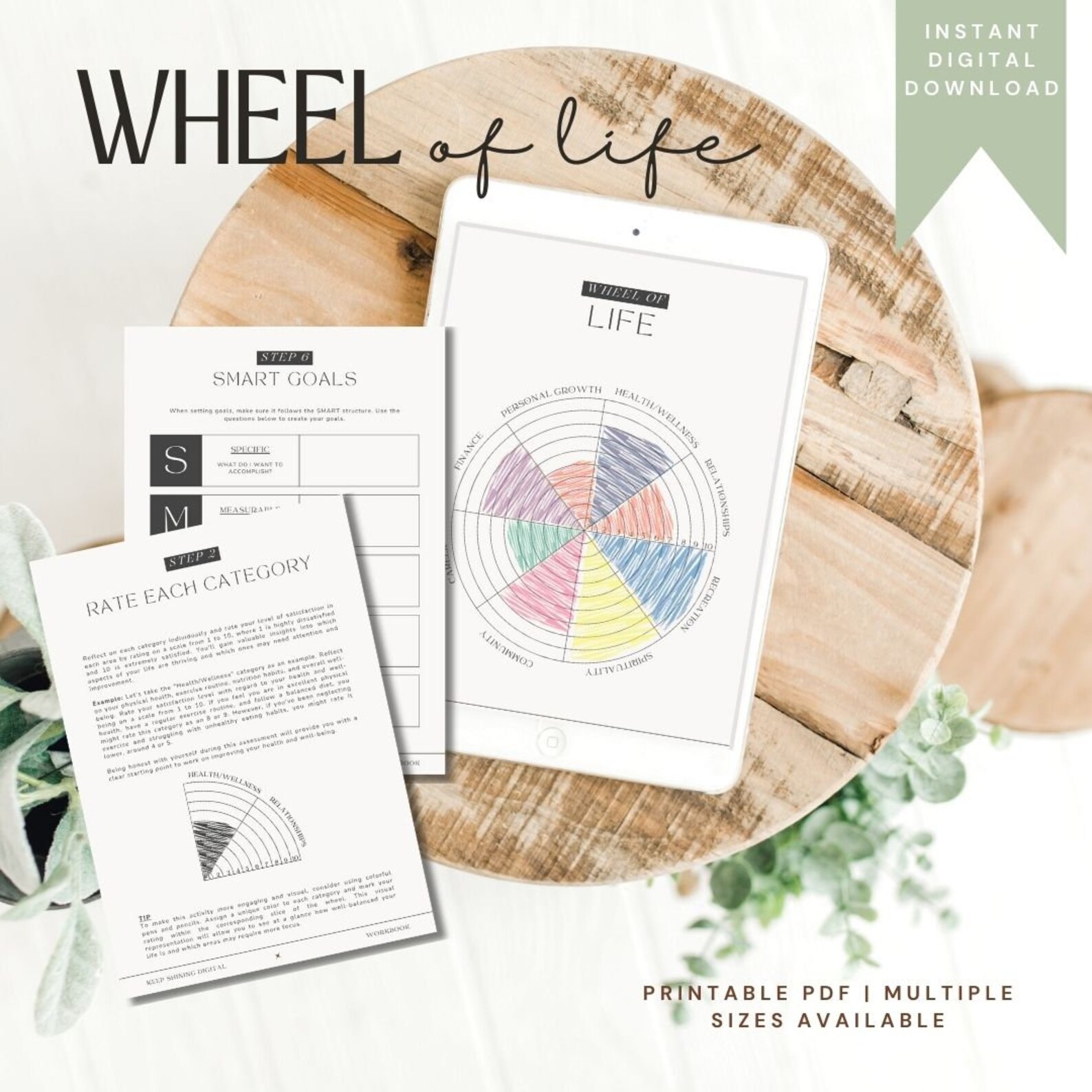 Wheel of Life Tracker, Wheel of Life Workbook Worksheet, Smart Goal ...
