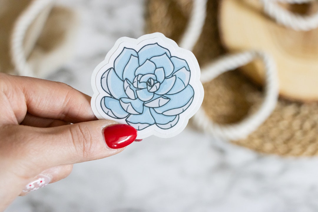 Nature-inspired Blue Flower Succulent Sticker - Etsy