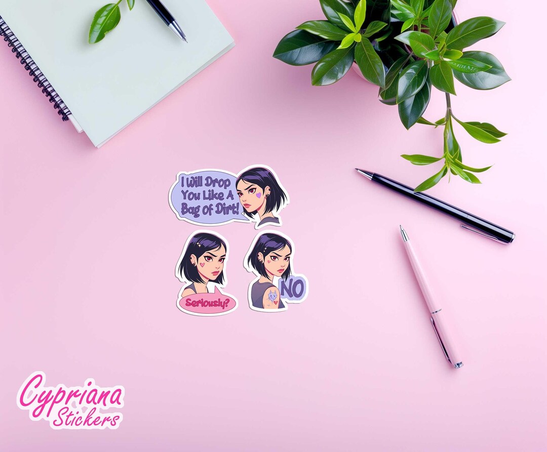 Snarky Sayings Sticker Set, Punky Tough Girl Waterproof Decal Pack ...