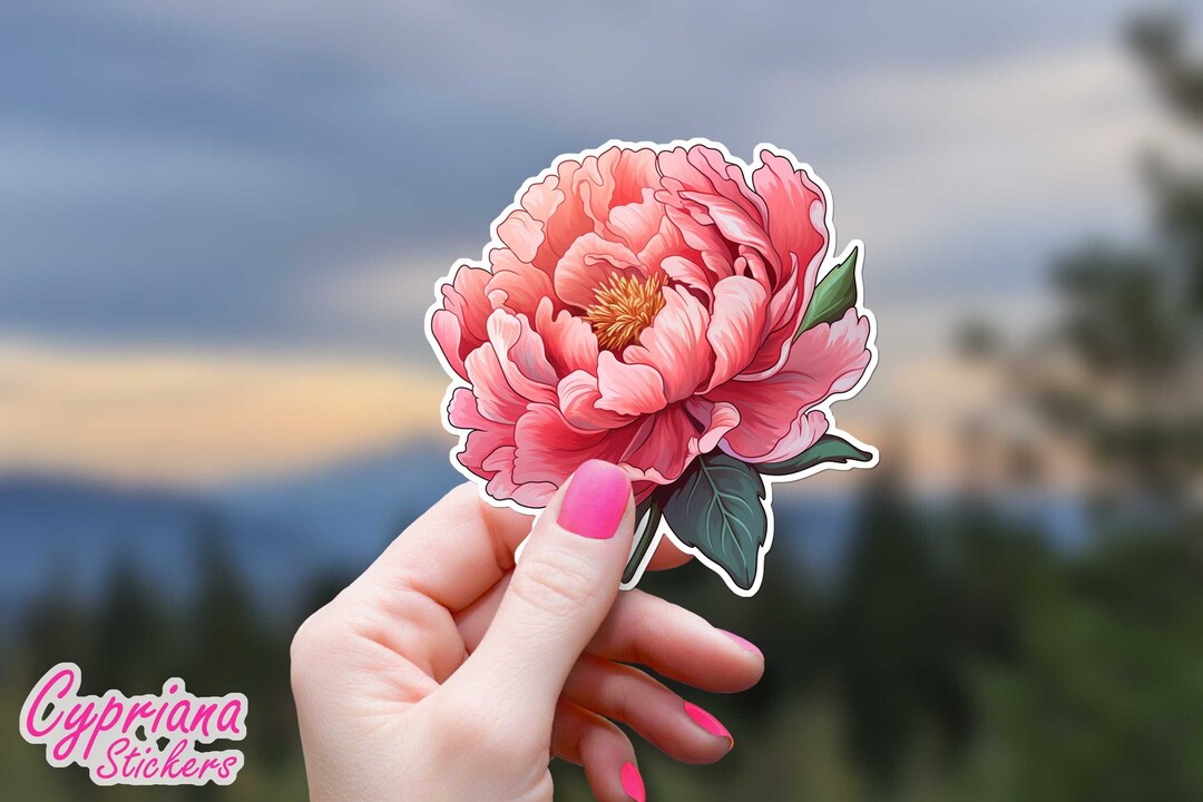 Large Light Pink Peony Sticker, Pastel Waterproof Flower Decal, Garden ...