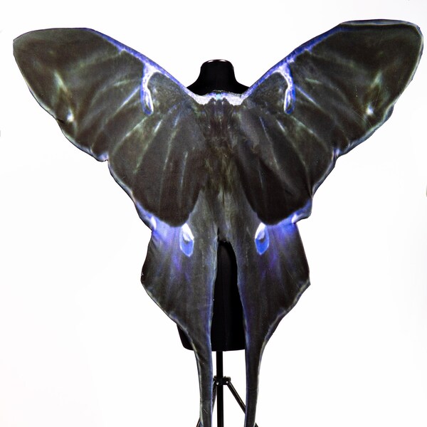 Moth Wing Cape - Etsy