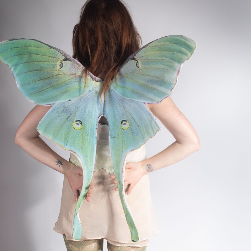 Moth Costume - Etsy