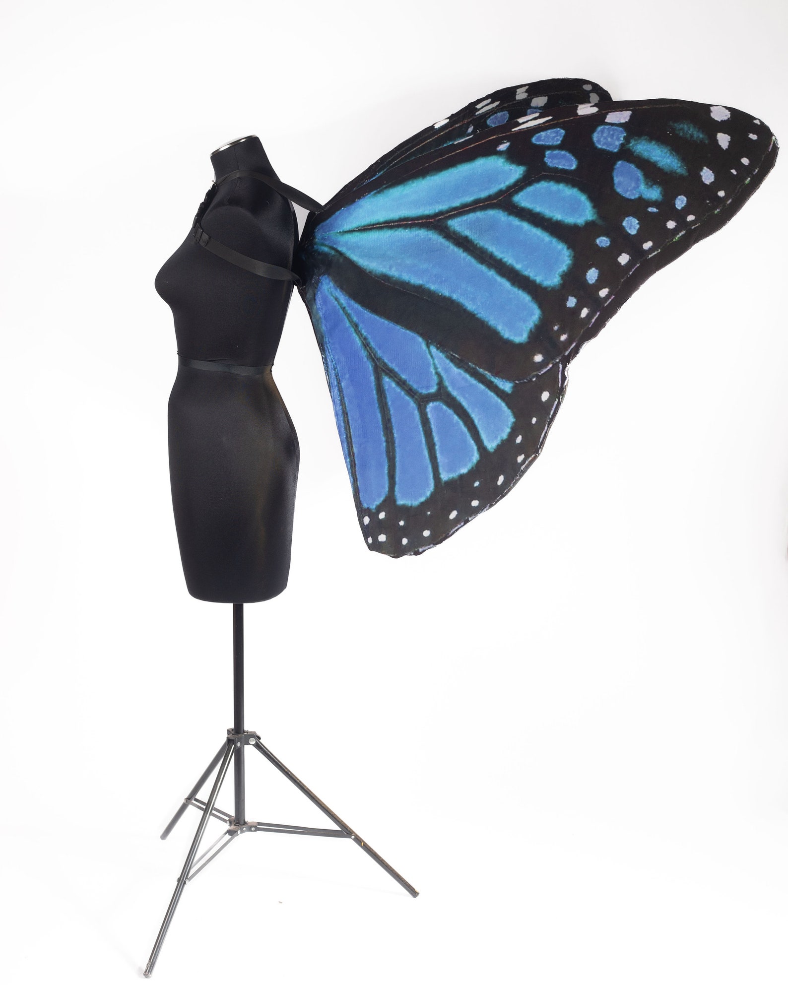 Large Blue Monarch Wing - Etsy