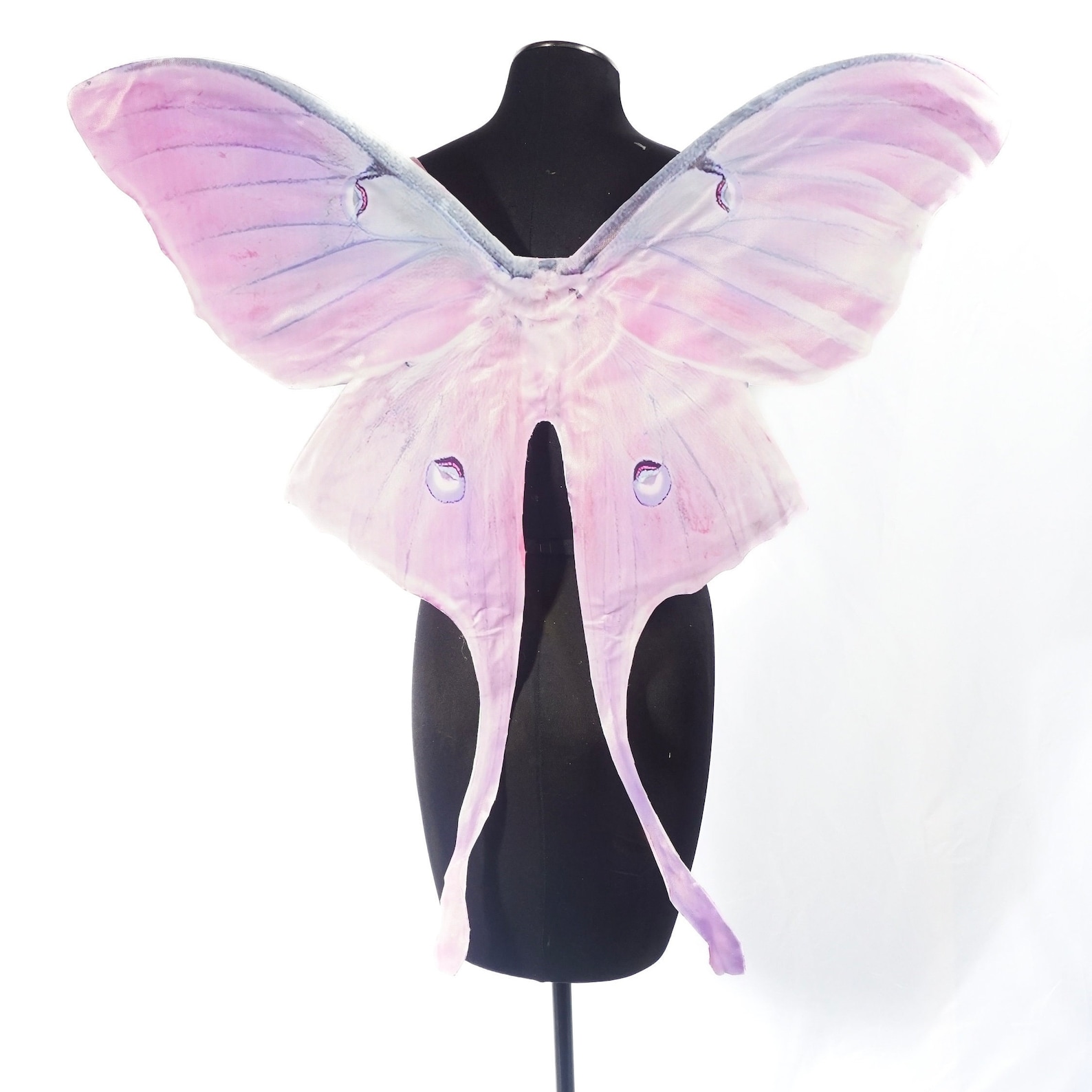 Pink Luna Moth Mini Wing - Etsy