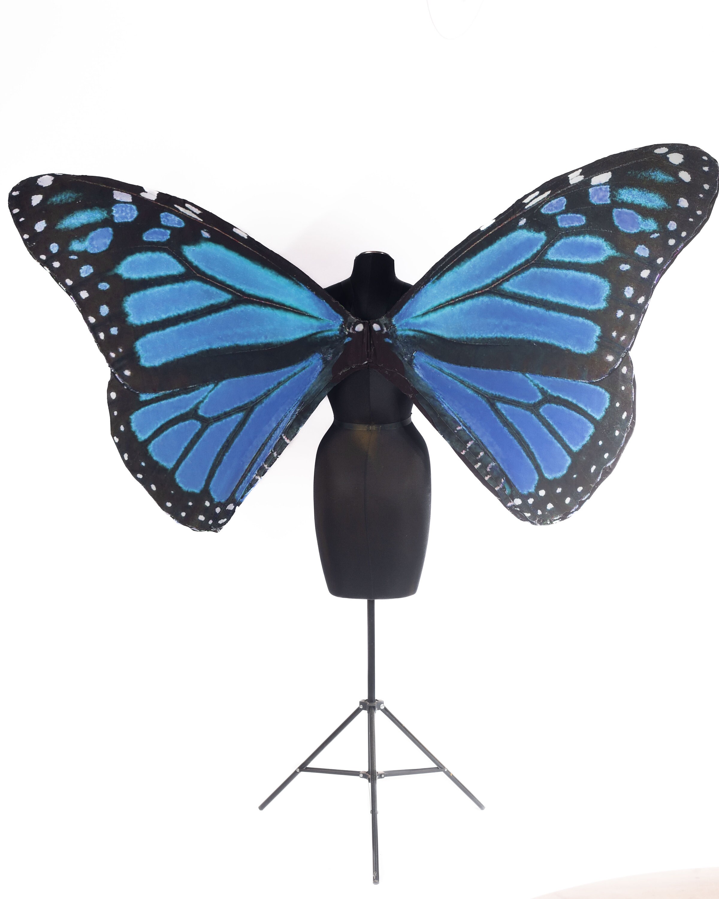 Large Blue Monarch Wing - Etsy
