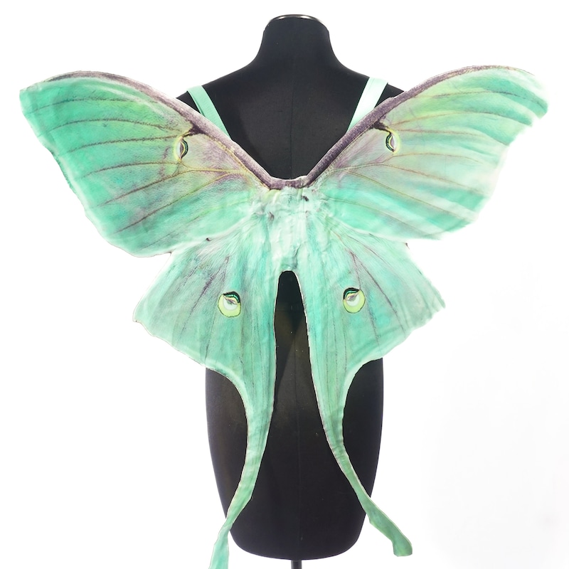 Moth Wings Costume - Etsy