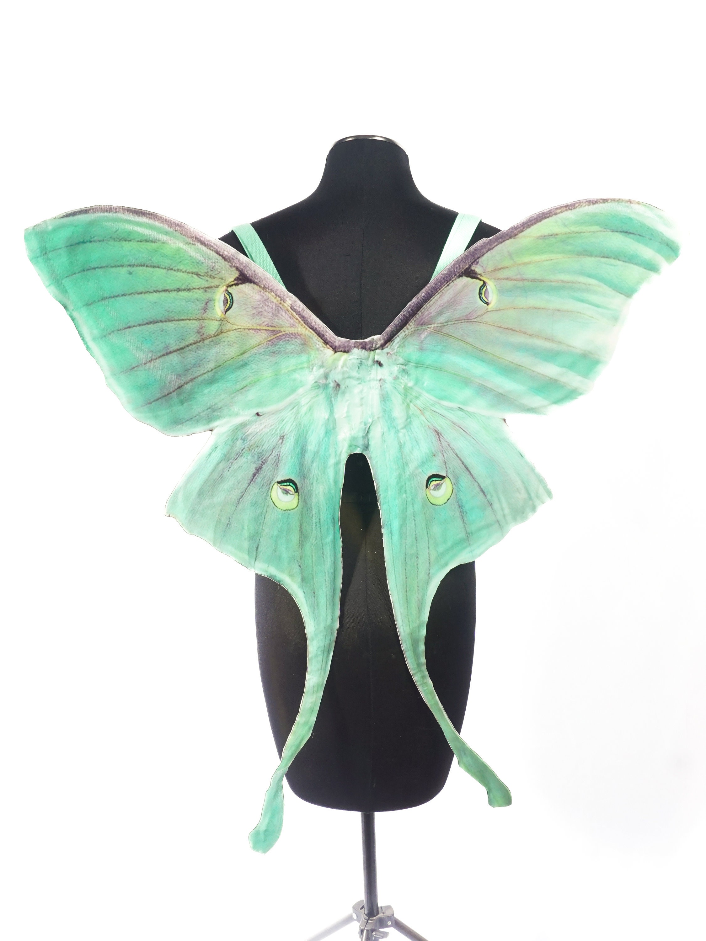 Green Luna Moth Mini Wing - Etsy