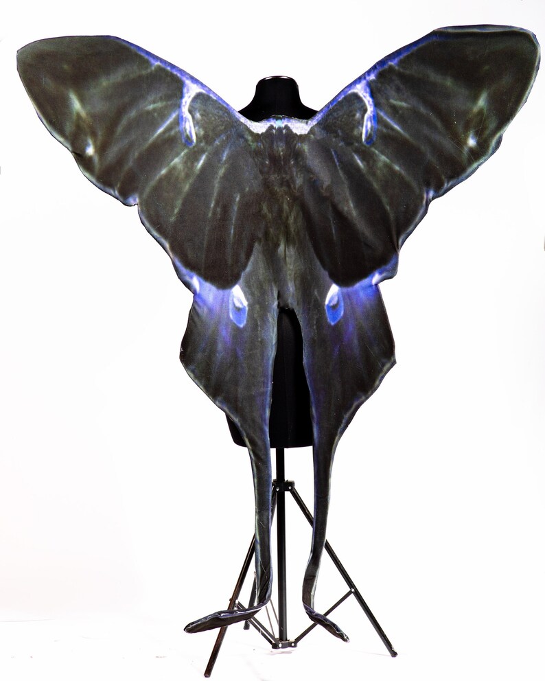 Black Luna Moth Mega Wing - Etsy
